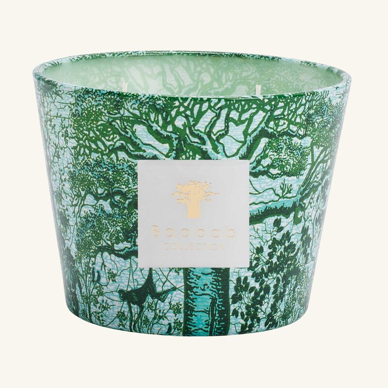 Baobab Collection Sacred Trees Kamalo Candle Max 10 | Tanagra Saudi Arabia